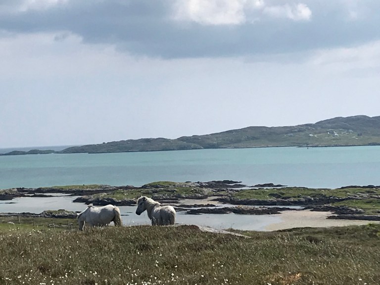 Learning Wild – Isle of Eriskay